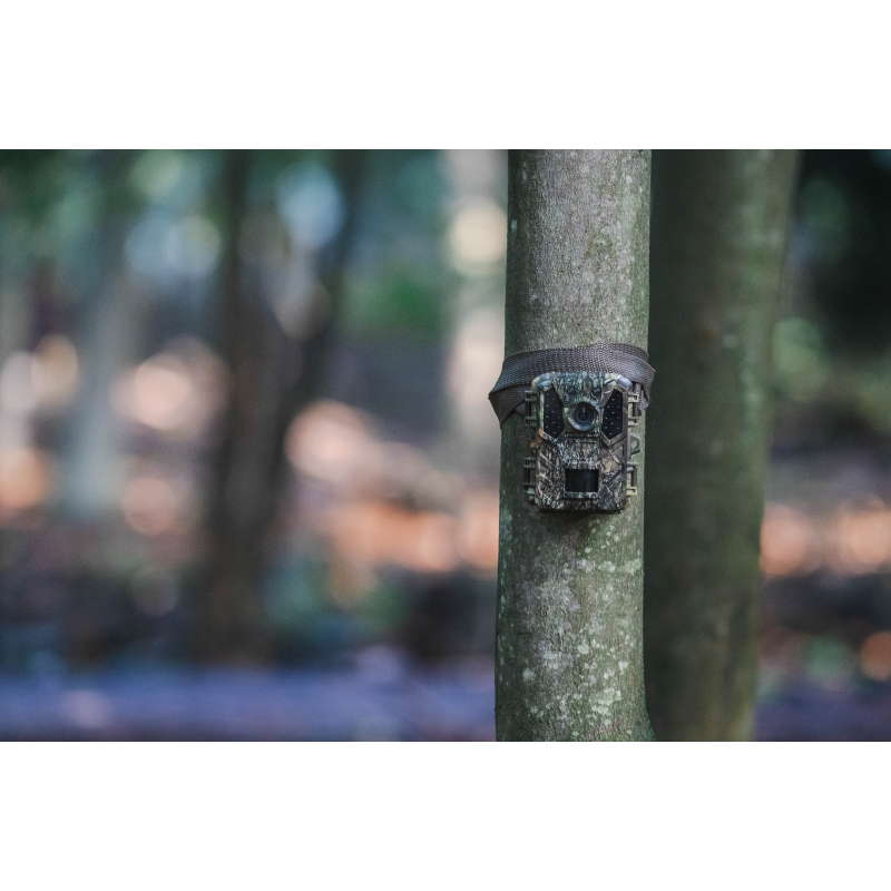 BRAUN® Scouting Cam Black200 WiFi Mini: Wildkamera