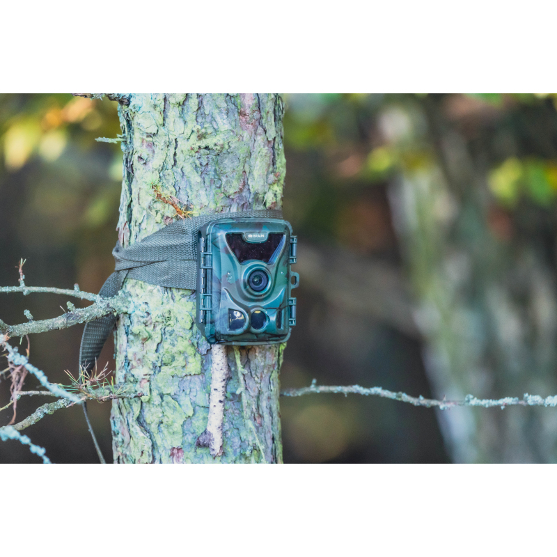 BRAUN Scouting Cam Black200A Mini | Wildkamera | Fotofalle